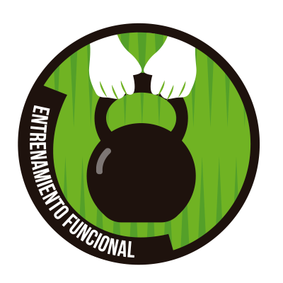 IPEFH | Preescolar, Primaria, Secundaria y Preparatoria